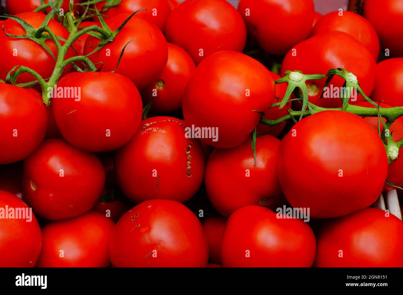 Vine tomatoes at a market stall Stock Photo - Alamy