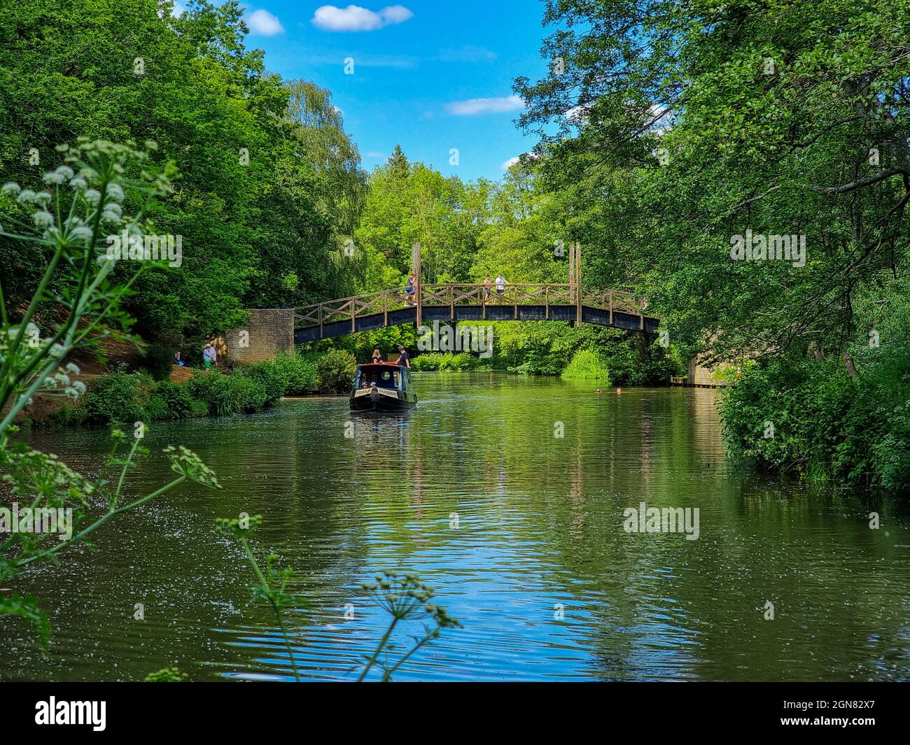 A beautiful British countryside scene on the River Wey Navigation Stock ...