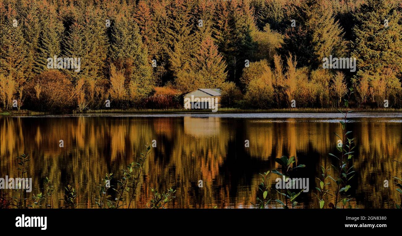 Loch Ettrick Boathouse Stock Photo - Alamy