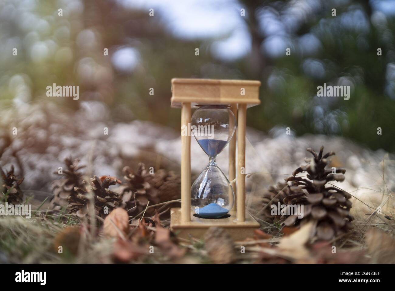 daylight savings time begins in nature Stock Photo - Alamy
