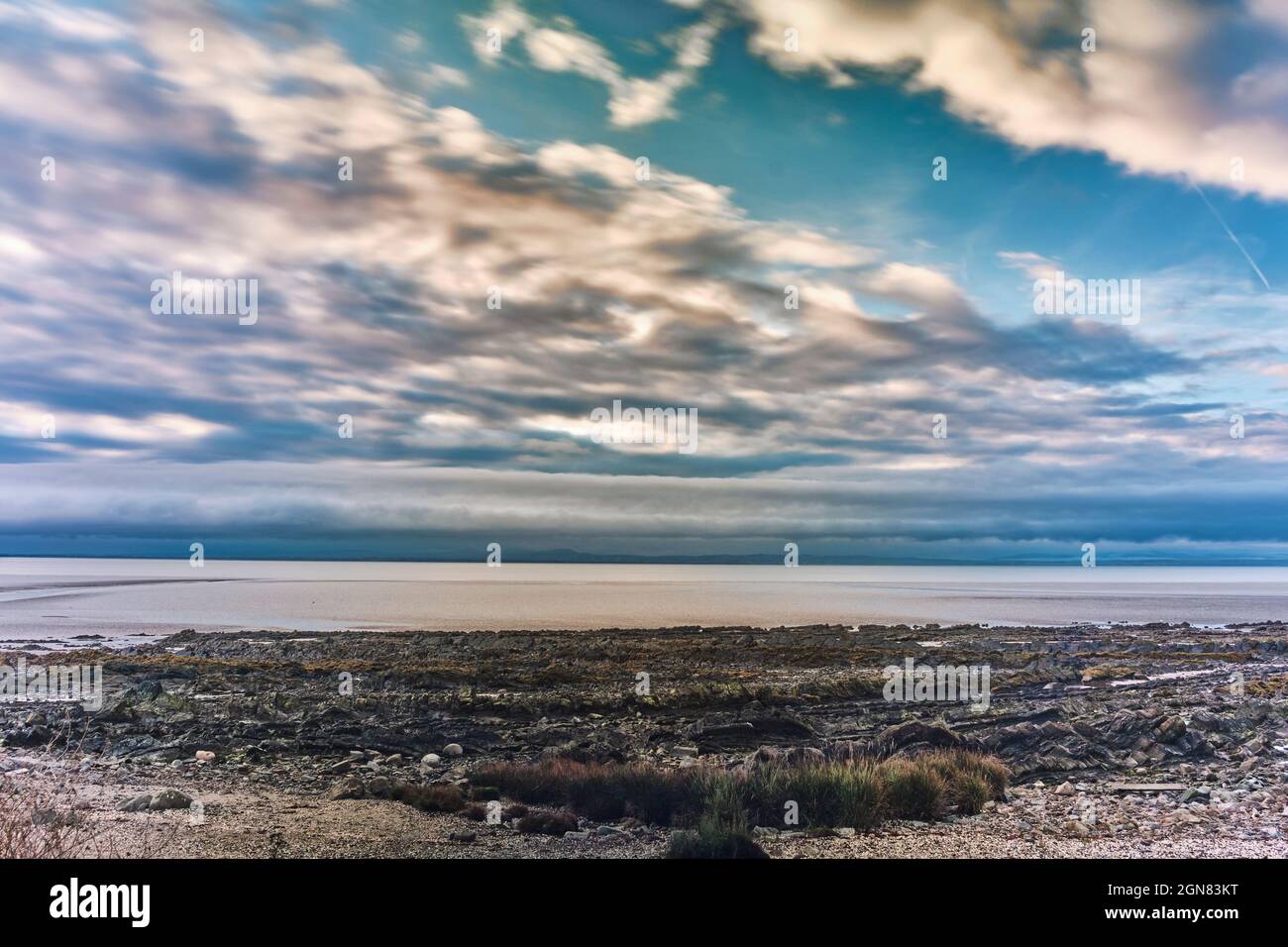 Windswept coast hi-res stock photography and images - Alamy