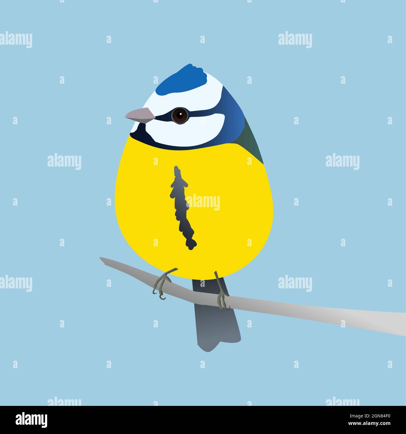 A very cute blue titbird in the shape of an egg. Blue background Stock ...