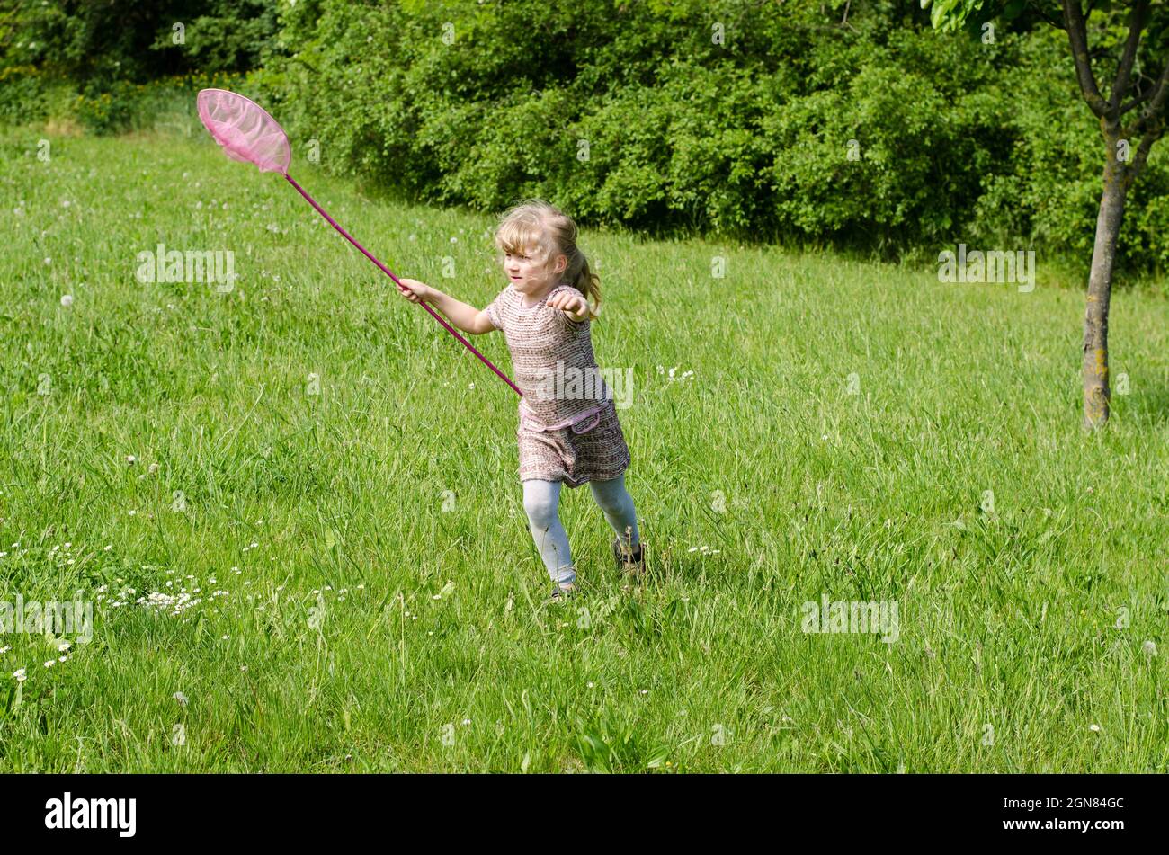 Innocent butterfly hi-res stock photography and images - Alamy