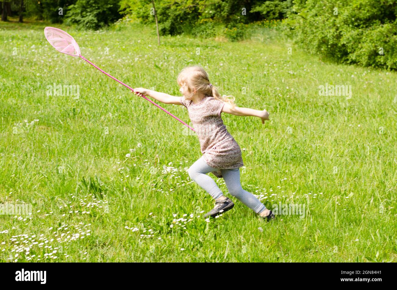girl on the meadow catching butterflies Stock Photo - Alamy