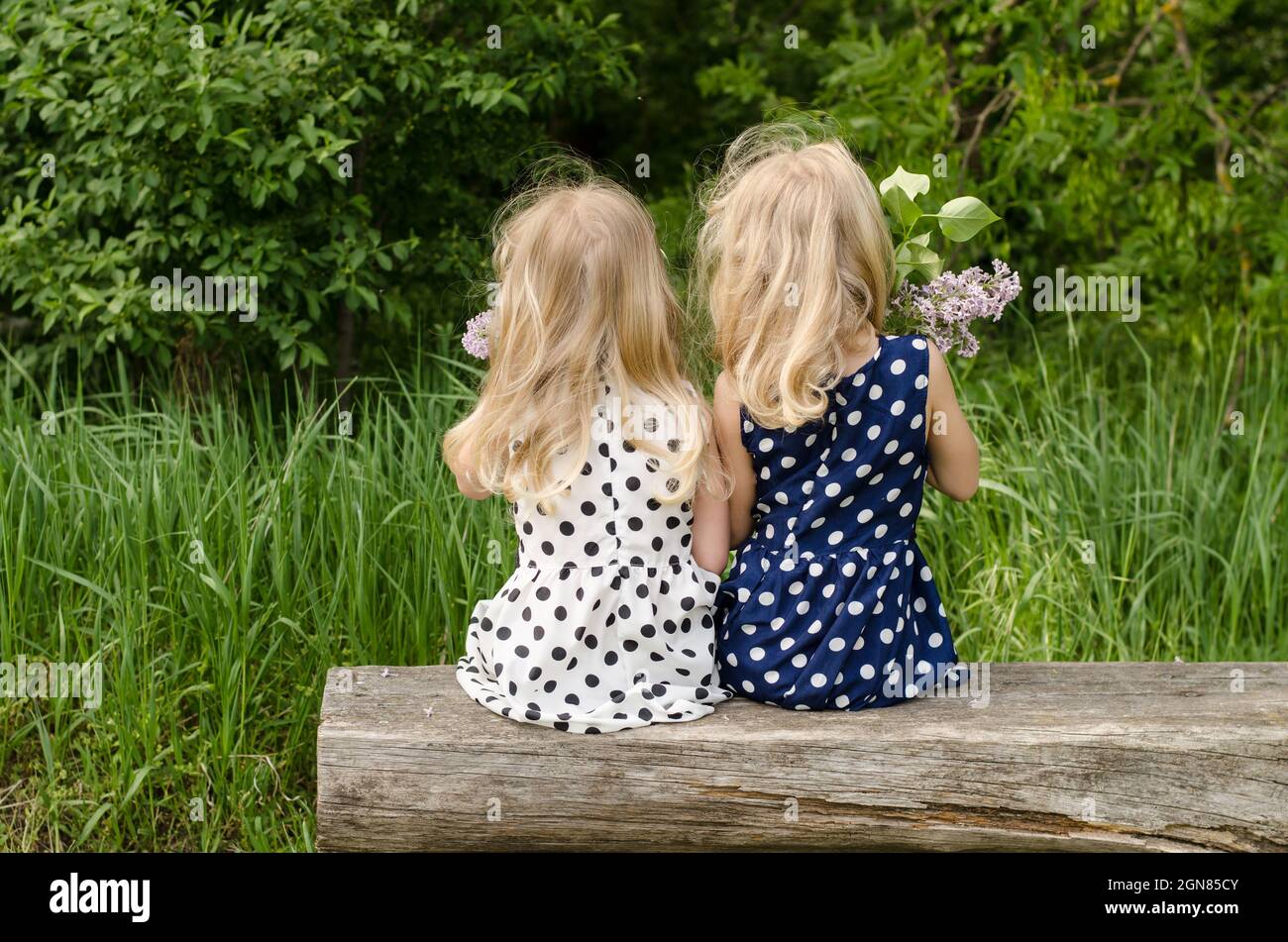 two blond girls sitting on bench back view Stock Photo - Alamy