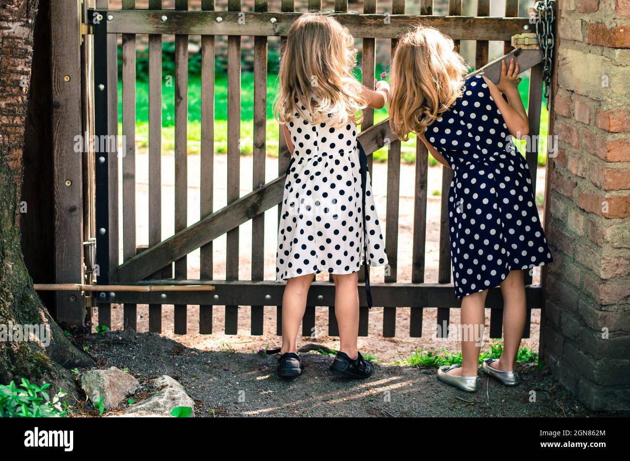 two curious blond girls in dotted dresses standing at fence and peeking ...