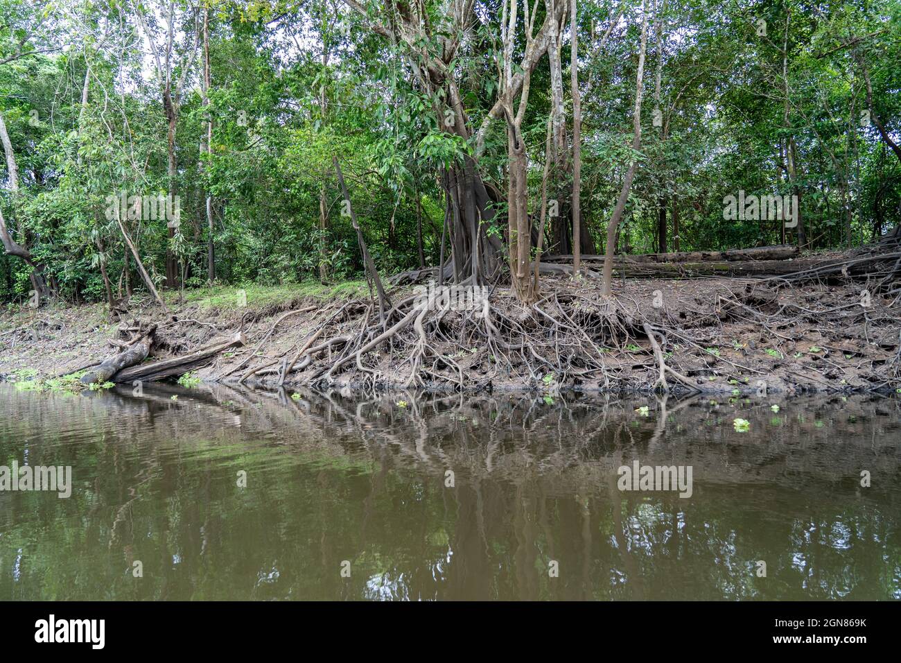 Peruvian biodiversity hi-res stock photography and images - Alamy