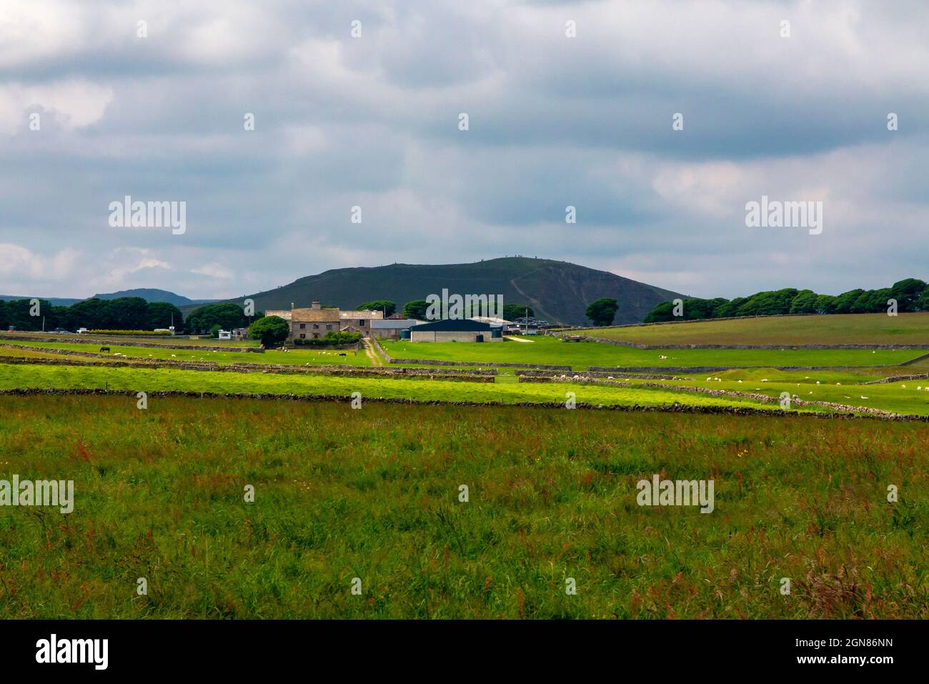 Farm buildings in landscape near Peak Forest in the Peak District ...
