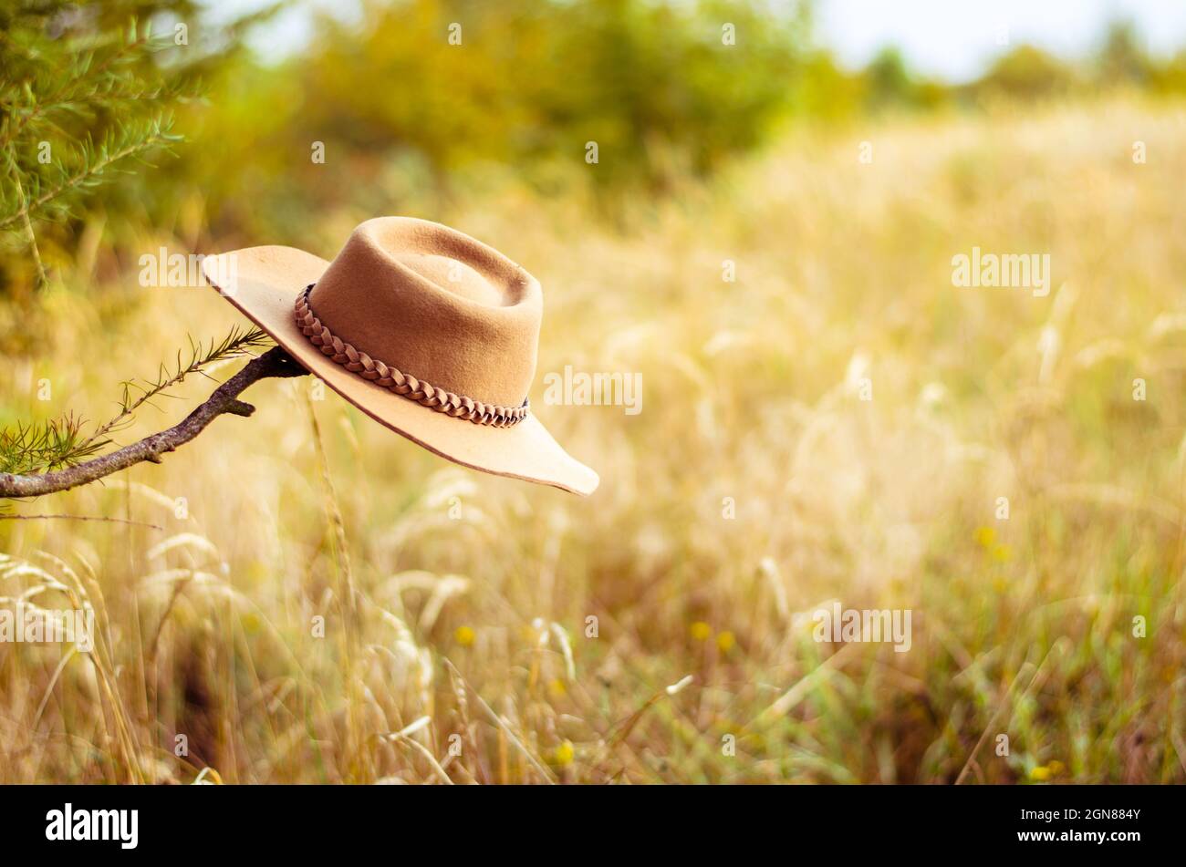 American cowboy in hat hi-res stock photography and images - Alamy