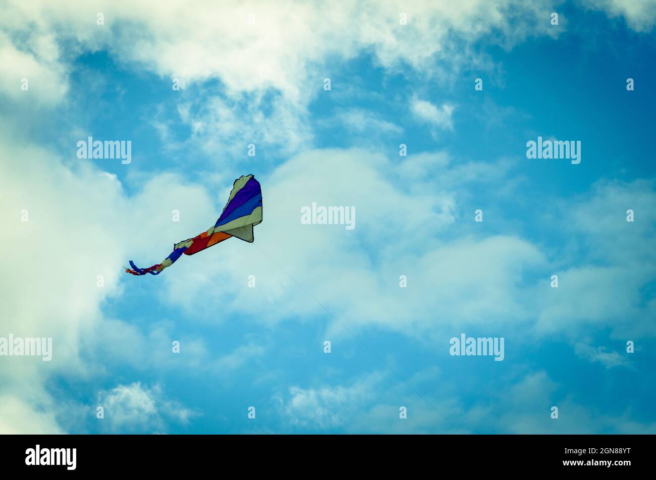 Flying cate hi-res stock photography and images - Alamy