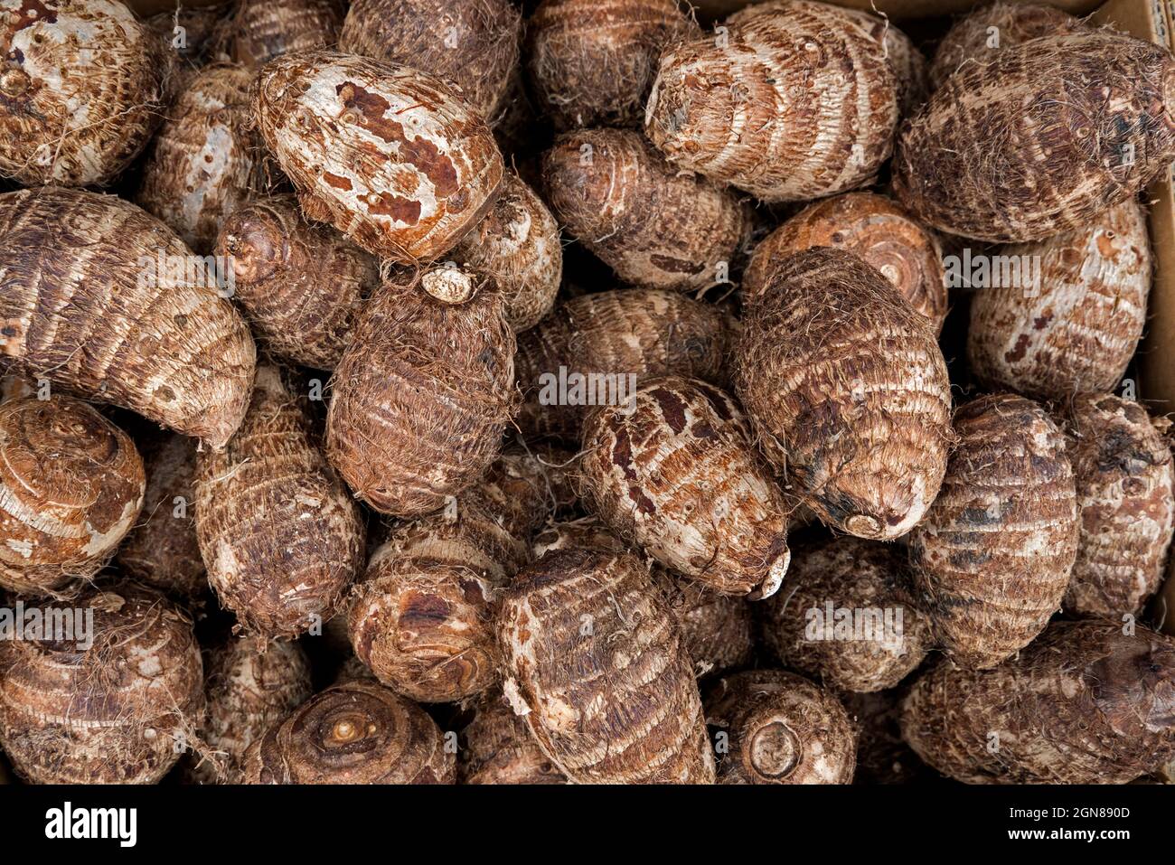 A box of eddoes or malangas outside a convenience store in Nicolson ...