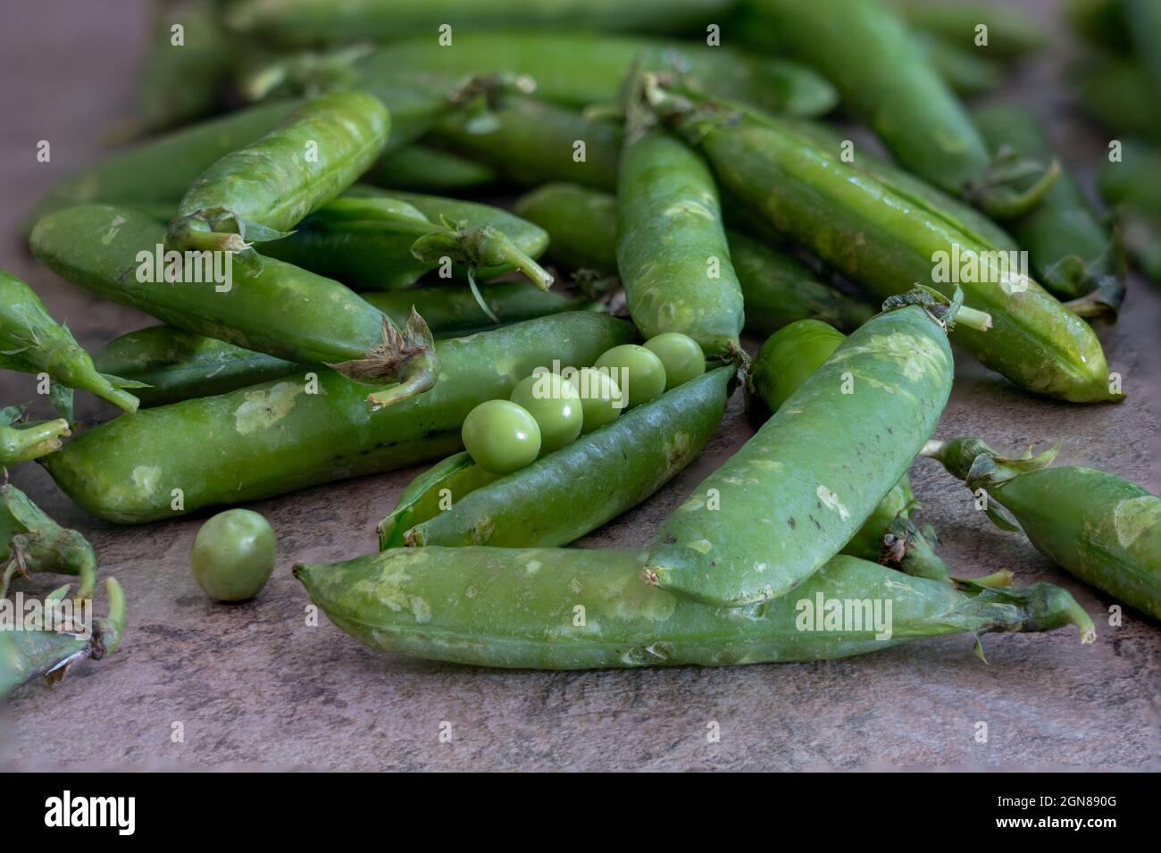 Frozen tendrils hi-res stock photography and images - Alamy