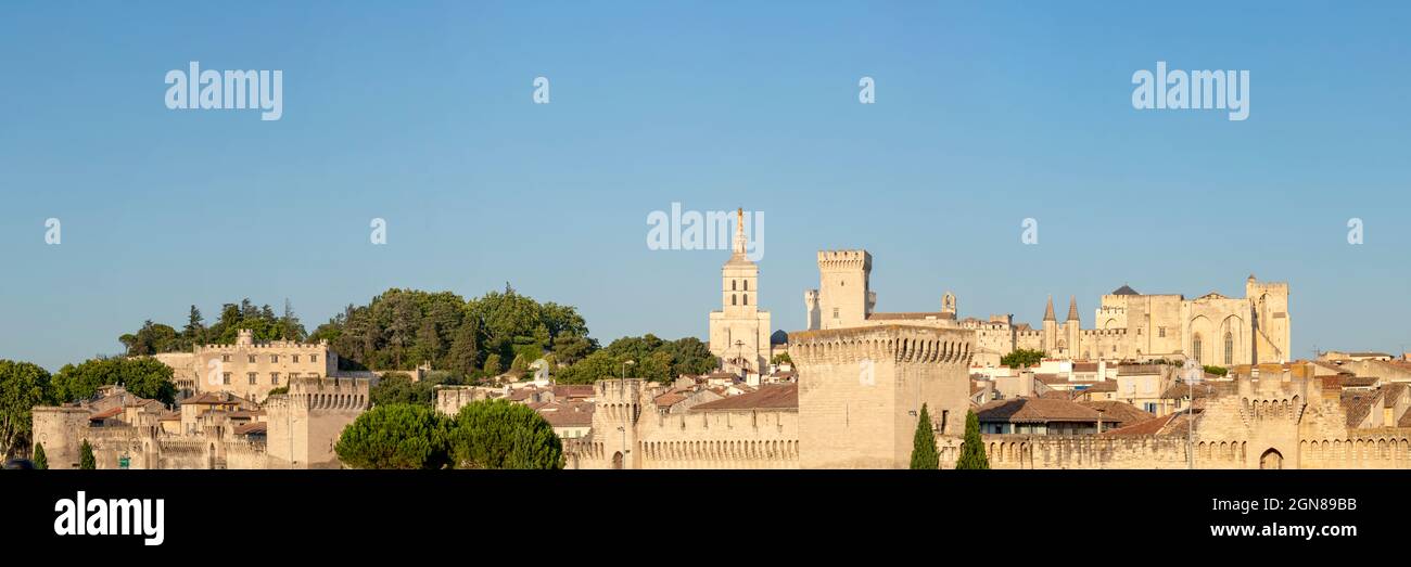 Panoramic view on the Avignon medieval city with historical walls and ...