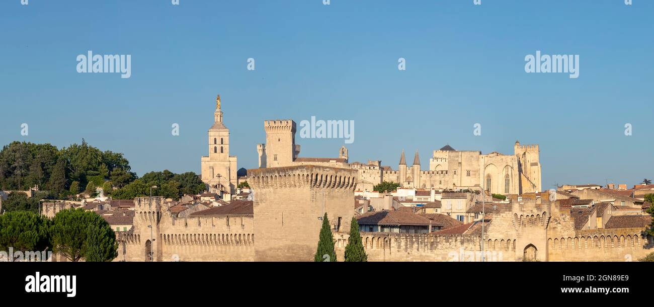 Panoramic view on the Avignon medieval city with historical walls and ...