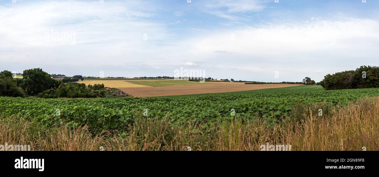 Crop fields and sunflower field in french countryside, scenic view on ...
