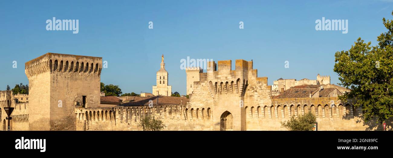 Panoramic view on the Avignon medieval city with historical walls and ...
