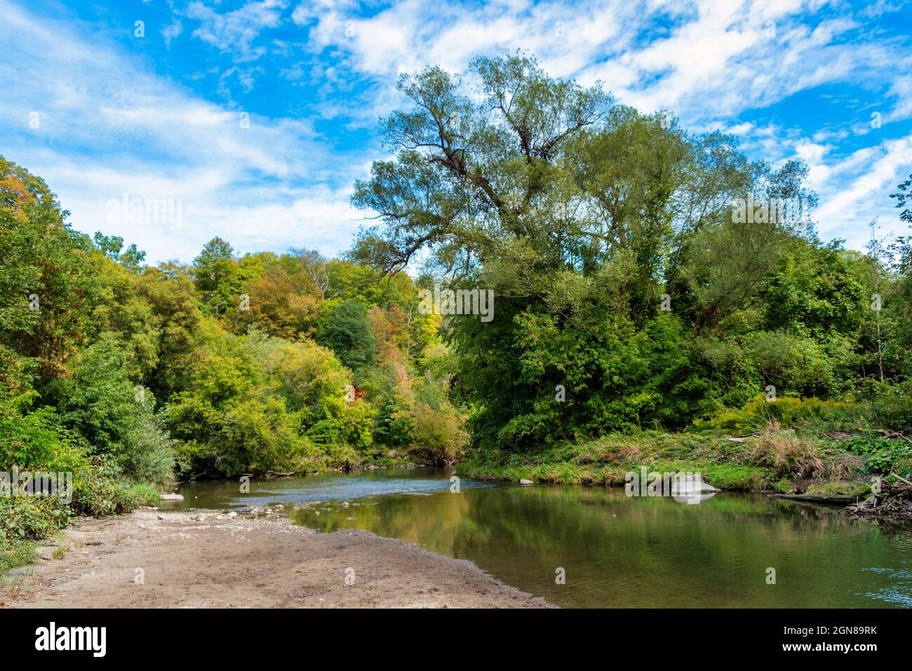 The nature by the Don River in Toronto Canada Stock Photo - Alamy