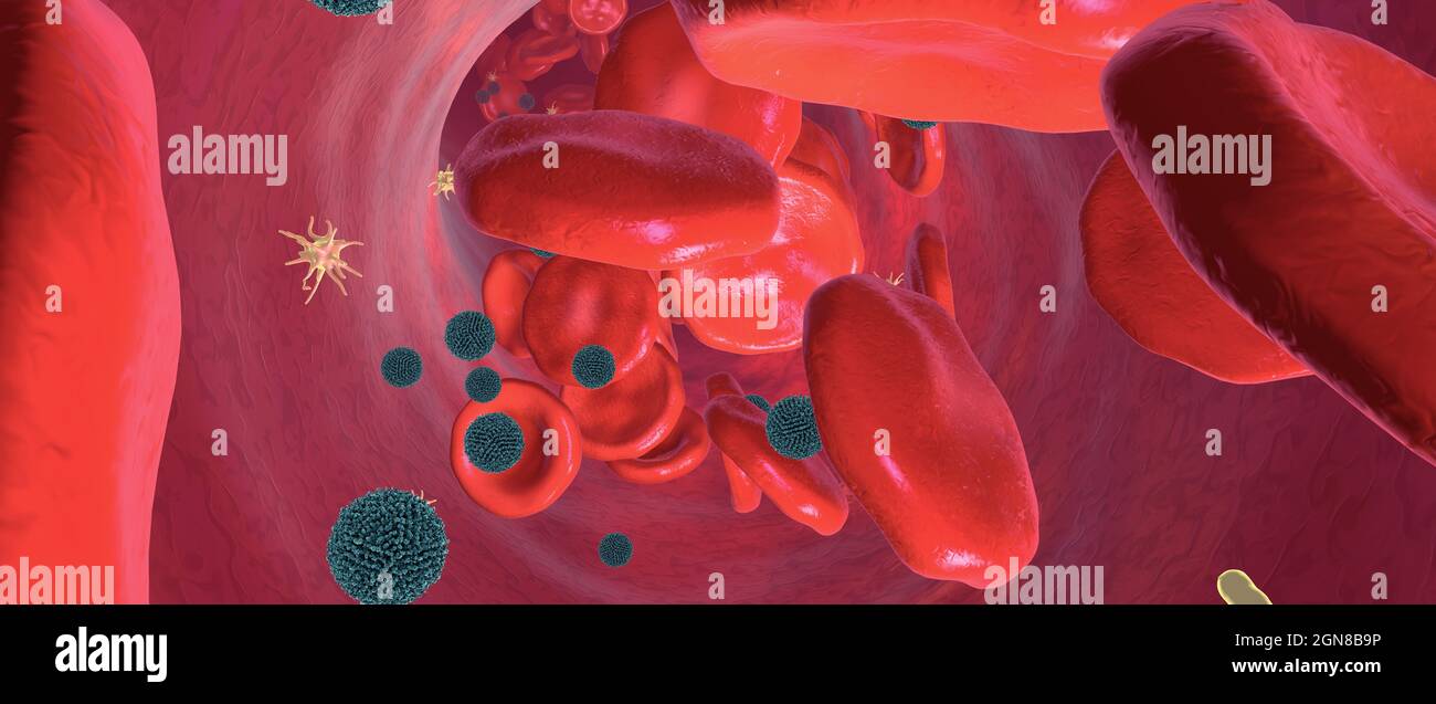 Components of blood circulating inside blood vessel - 3d illustration ...