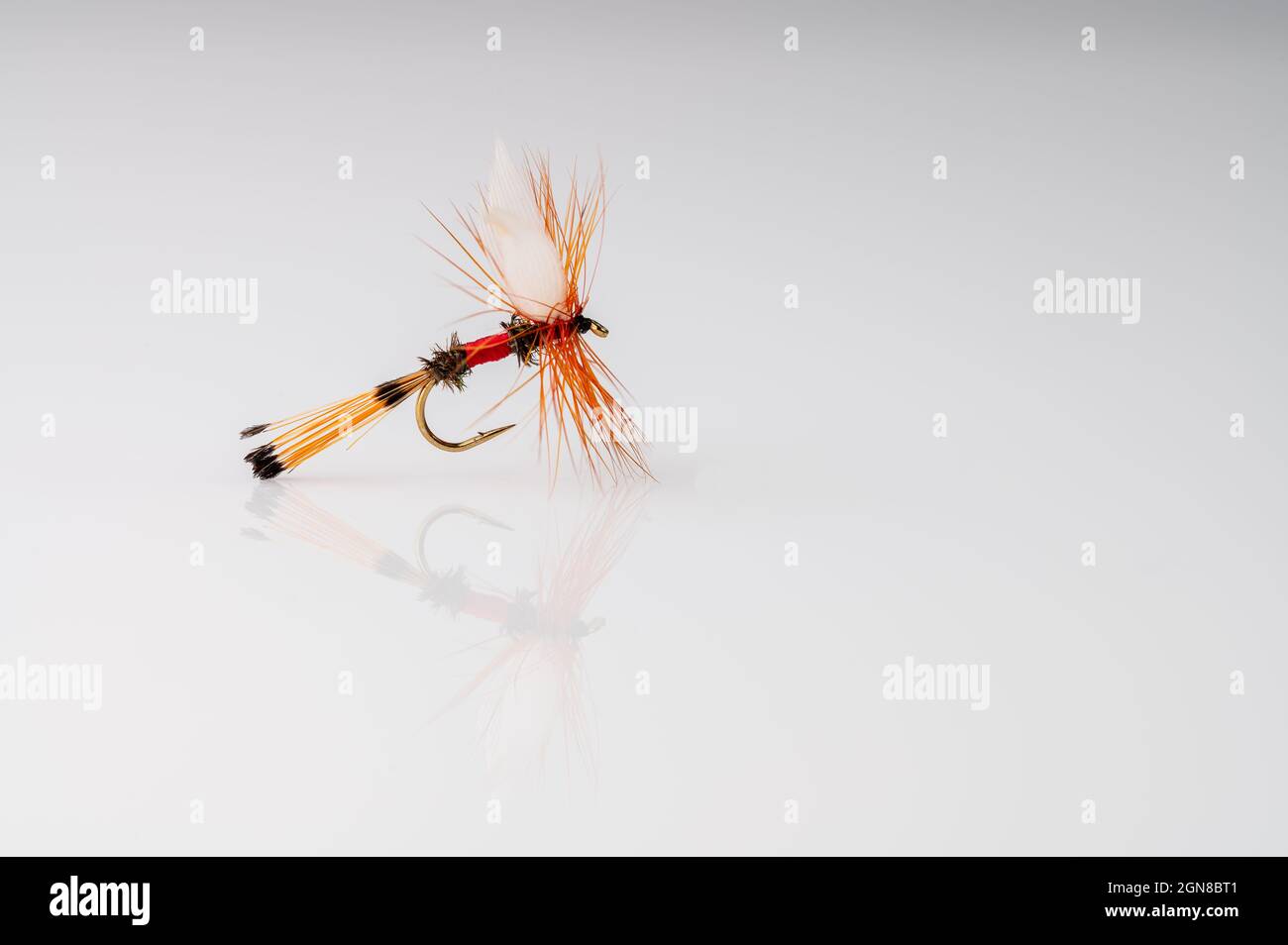 Traditional Royal Coachman Dry Fly Fishing fly against a white ...