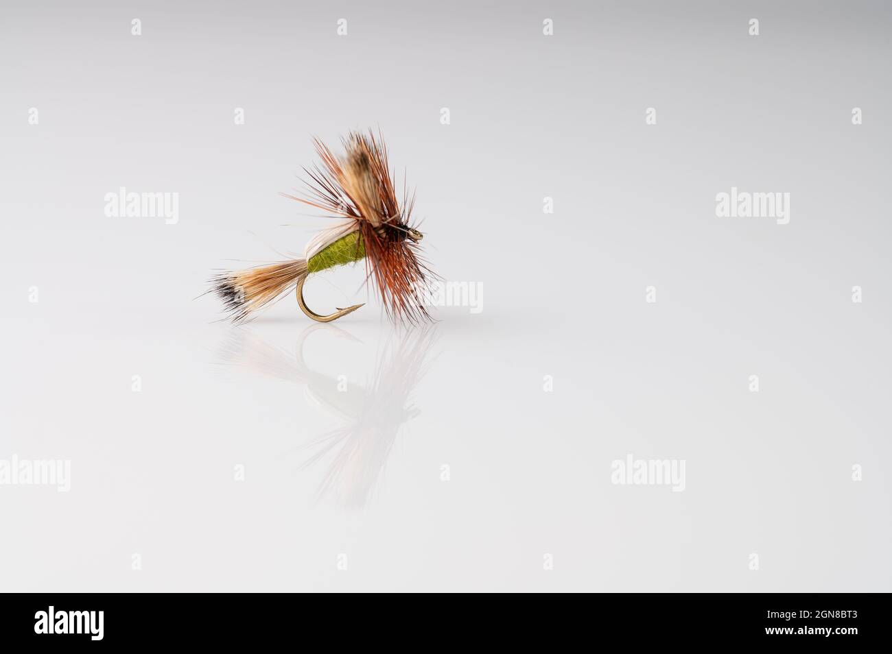 Traditional Olive Humpy Dry Fly Fishing fly against a white background ...