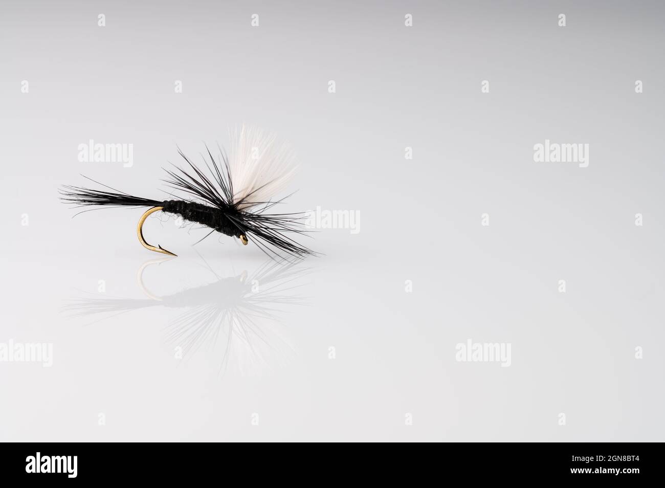 Traditional Black Gnat Parachute Dry Fly Fishing fly against a white ...
