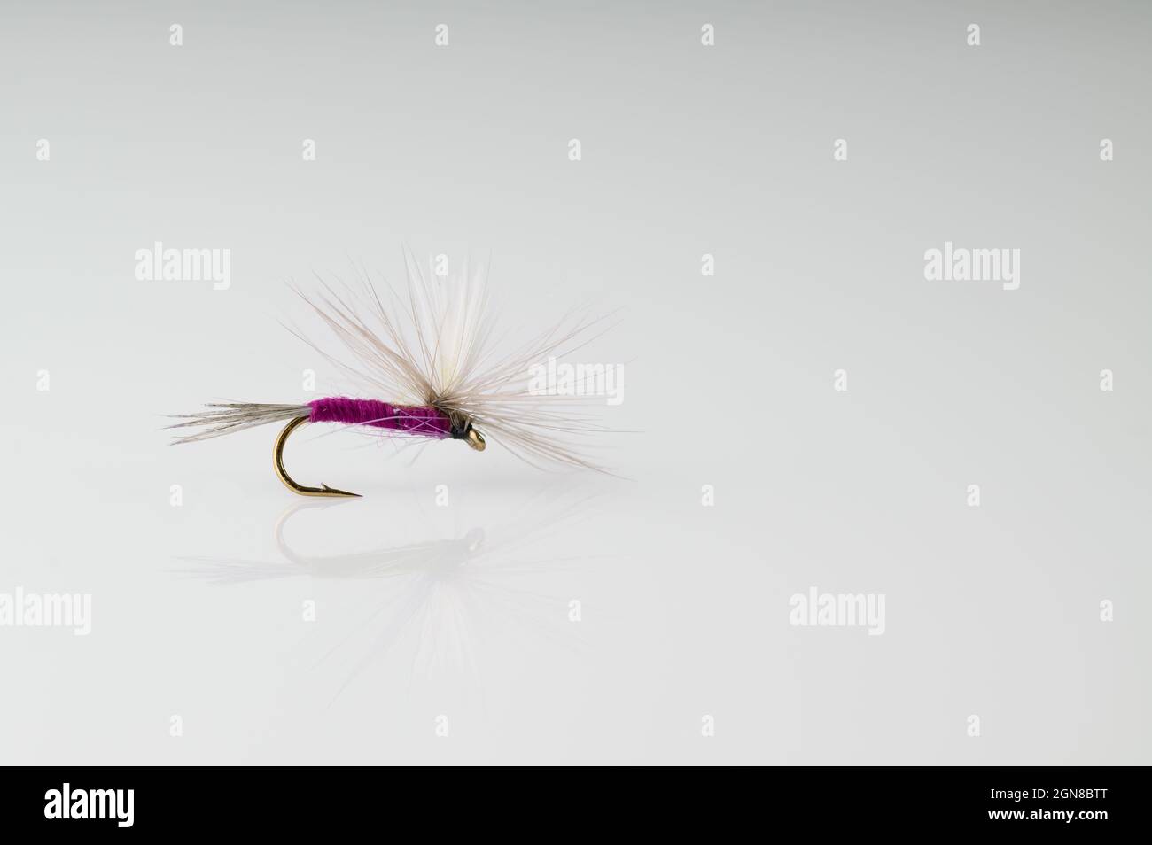 Traditional Blue Winged purple Parachute Dry Fly Fishing fly against a ...