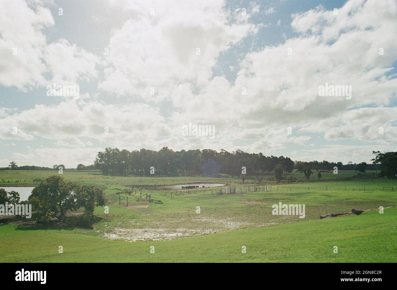 Grass field in forest sunny hi-res stock photography and images - Alamy