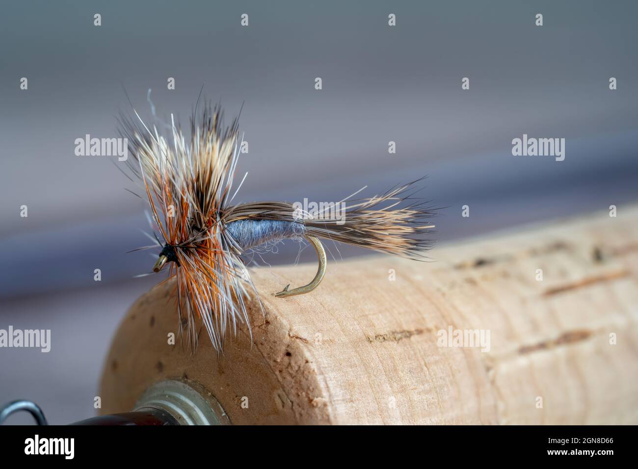 Macro image of a Adams Humpy Dry Trout fly Fishing Fly hooked into a ...