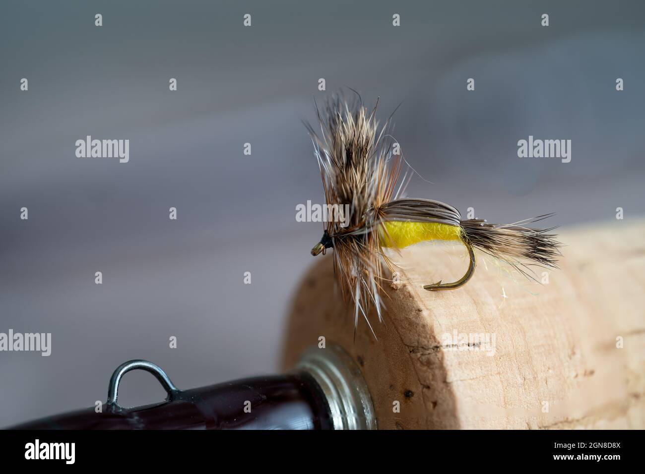 Daddy fishing hi-res stock photography and images - Alamy
