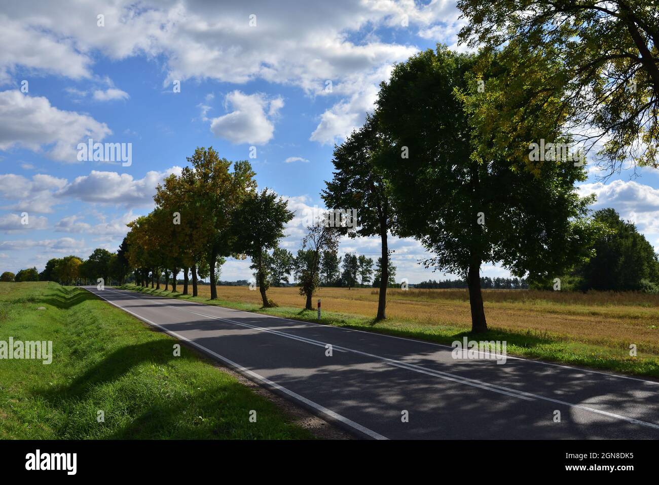 Highway among trees hi-res stock photography and images - Alamy