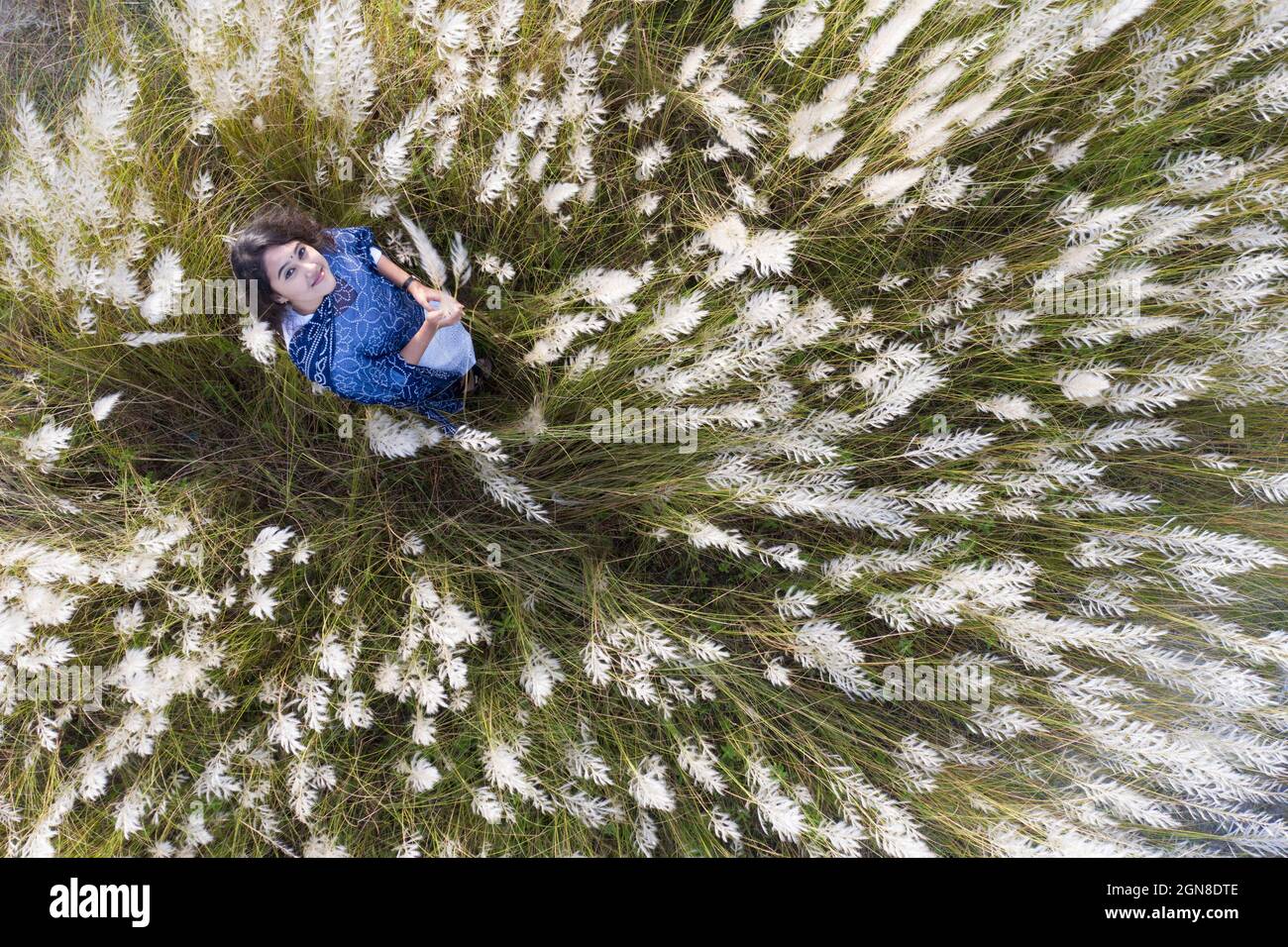 Kans grass hi-res stock photography and images - Alamy