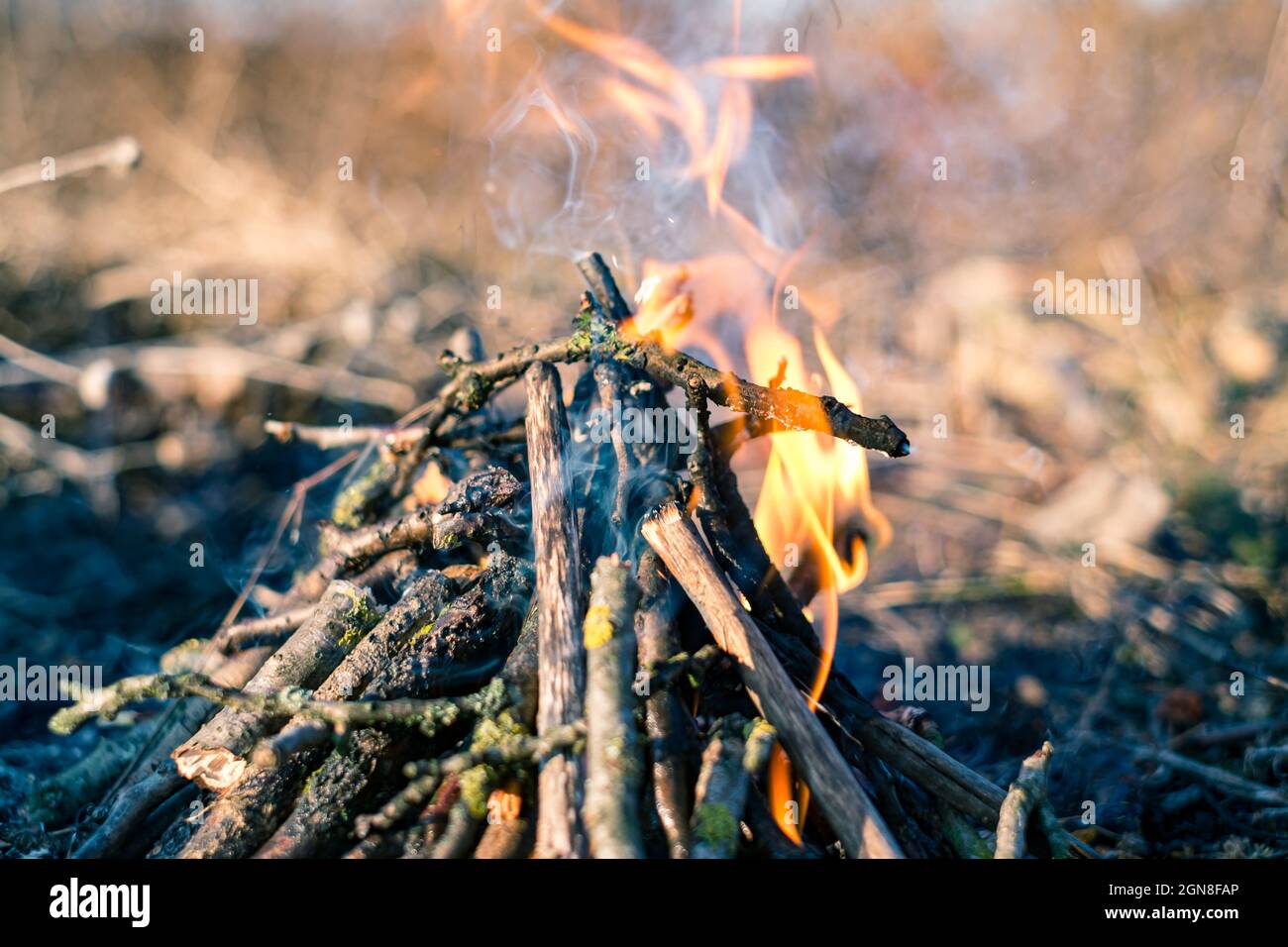 Small prepared fire hi-res stock photography and images - Alamy