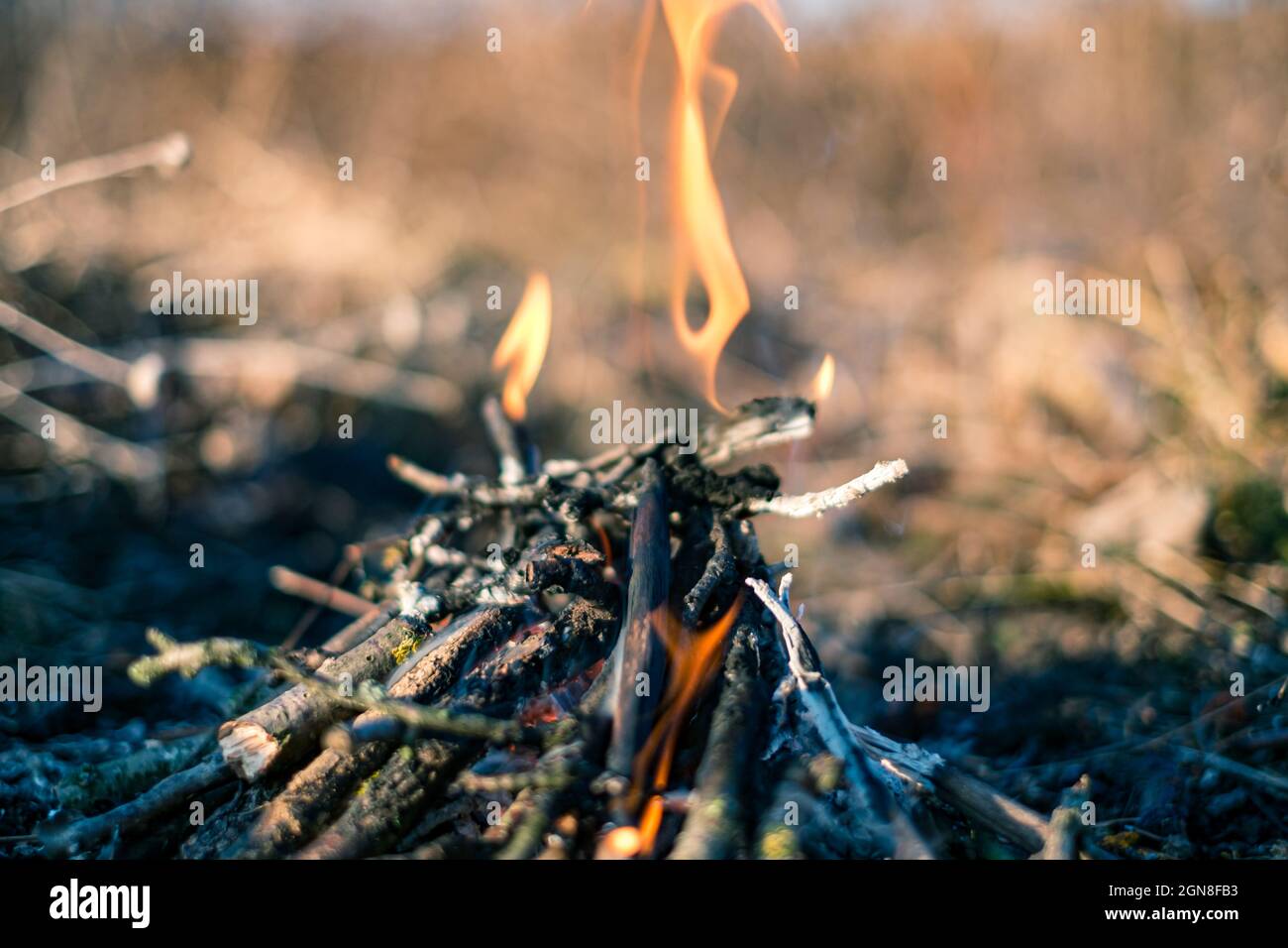 Small fire in nature, close view Stock Photo - Alamy