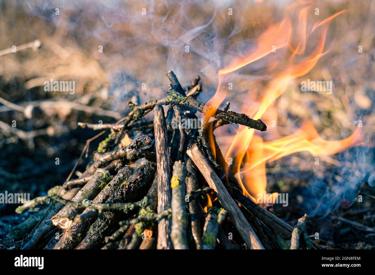Small Bonfire
