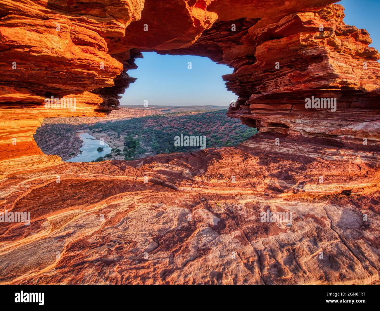 Natures window view hi-res stock photography and images - Alamy