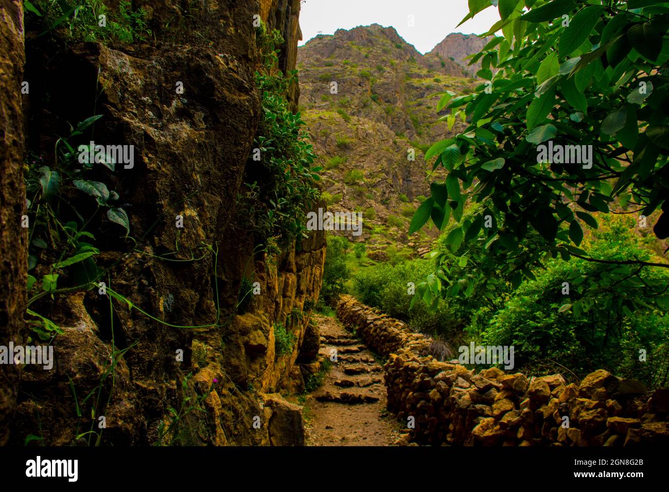 The narrow stone path Stock Photo - Alamy