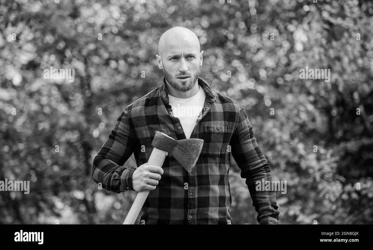Bald woodsman. Harvest firewood. Hike vacation. Hike in forest. Forest ...