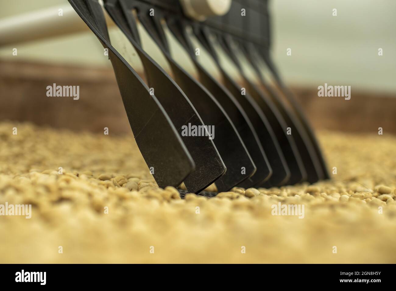 Cleaning nuts hi-res stock photography and images - Alamy