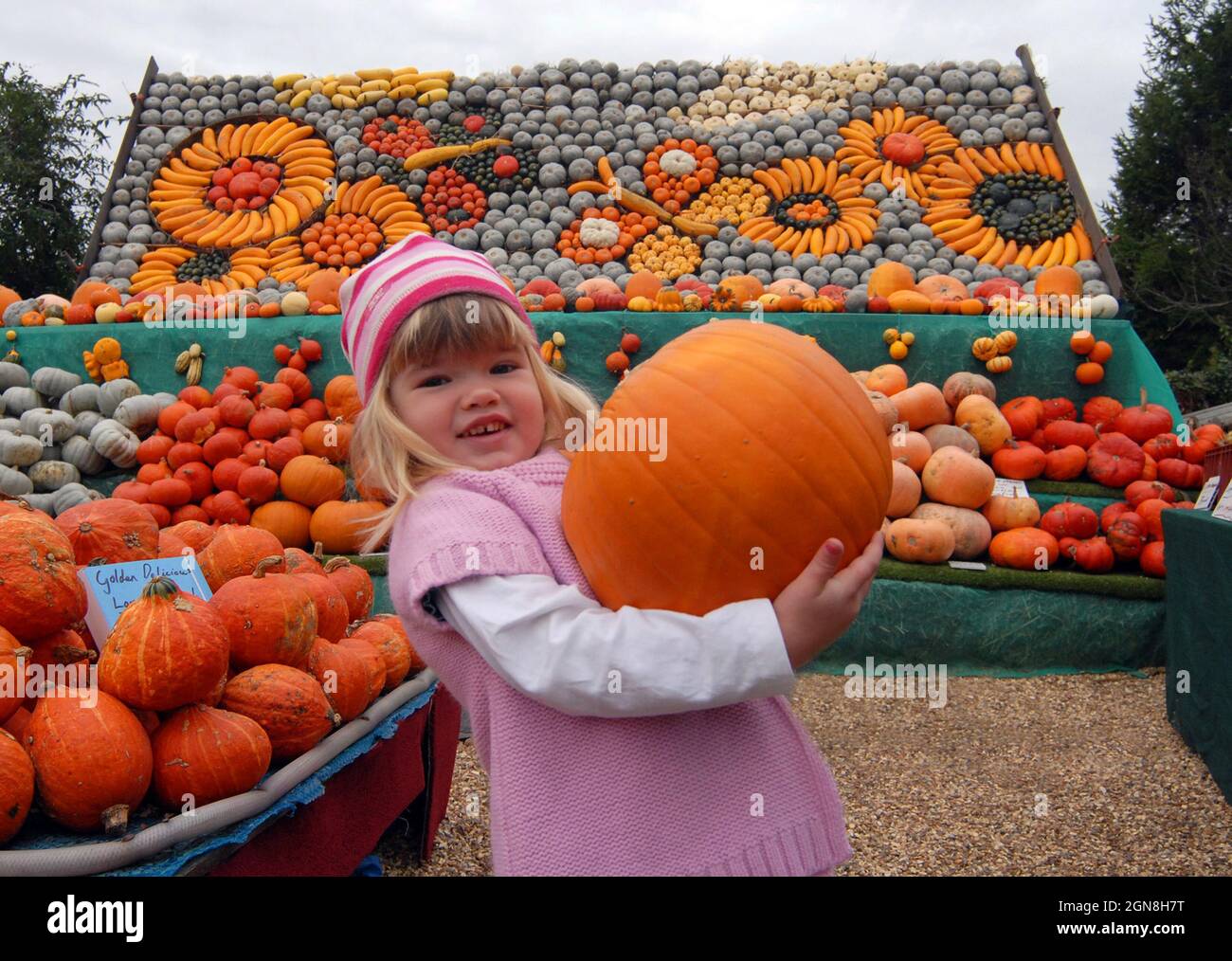 Slindon Village High Resolution Stock Photography and Images - Alamy