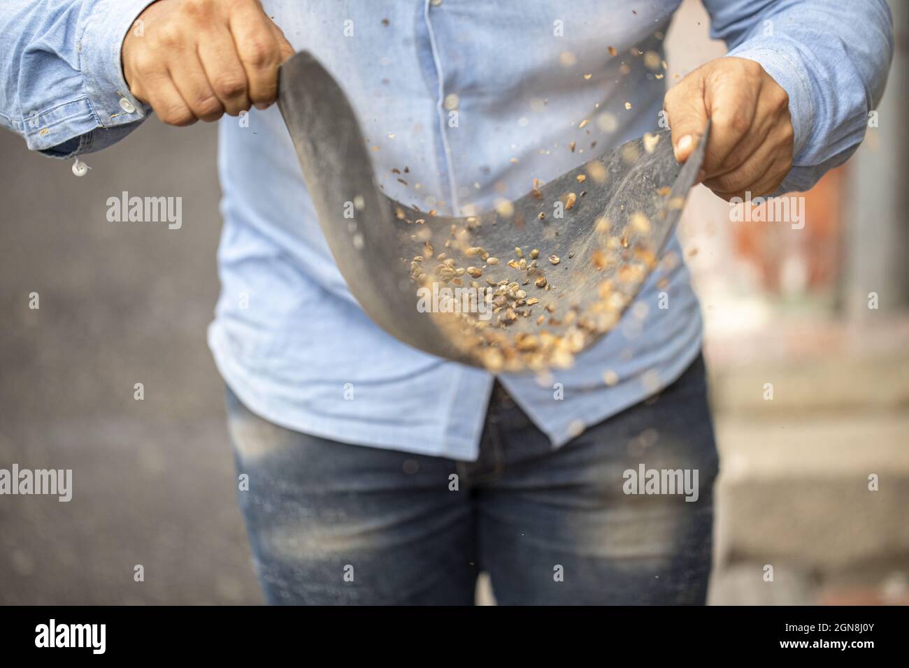 Closeup shot of a male shaking the nuts in a net to get rid of the ...