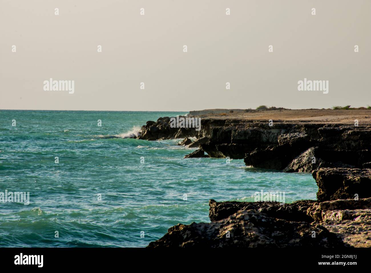 Nature of kish island hi-res stock photography and images - Alamy