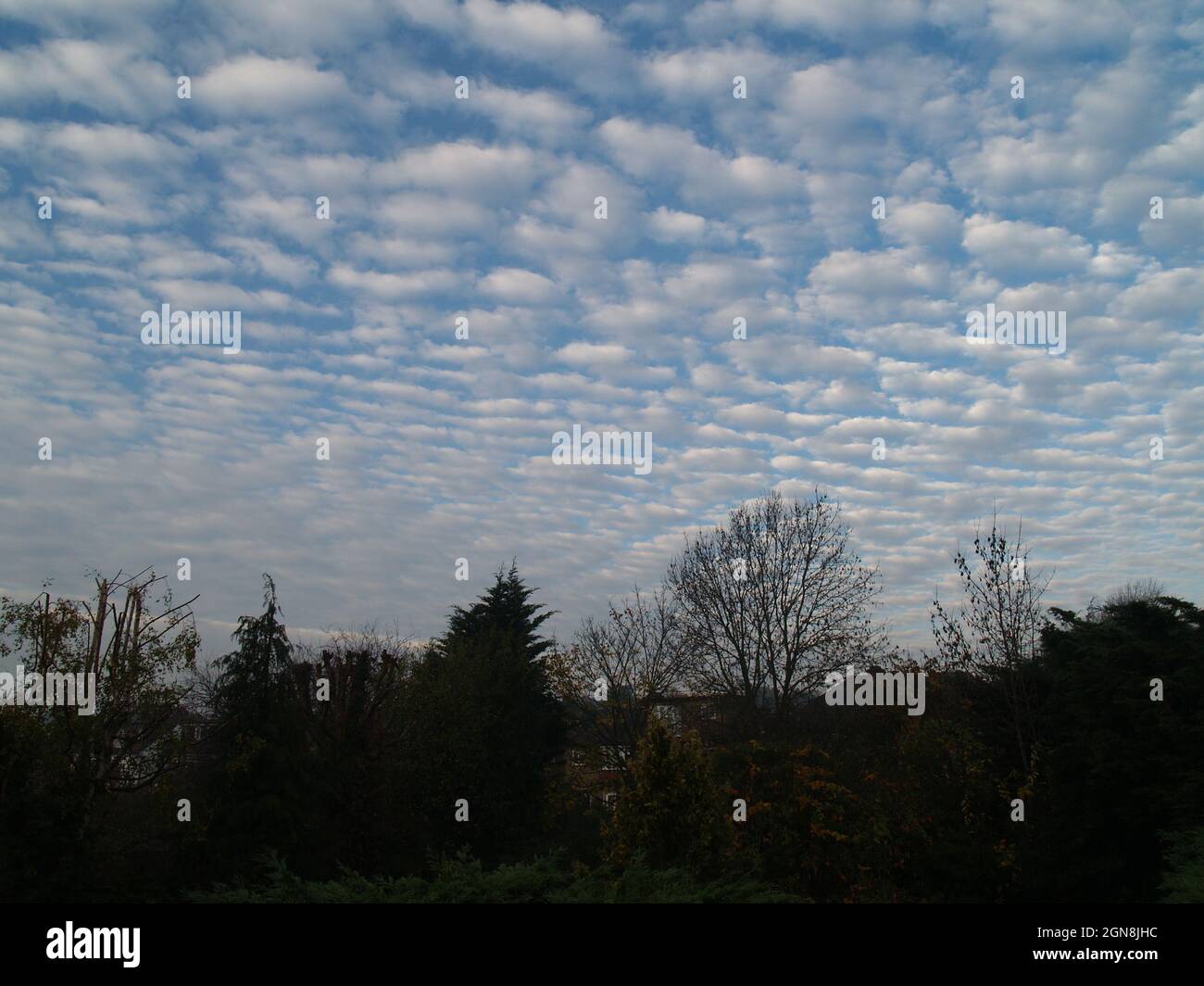 Altocumulus Clouds decorate the skies on a November morning Stock Photo ...