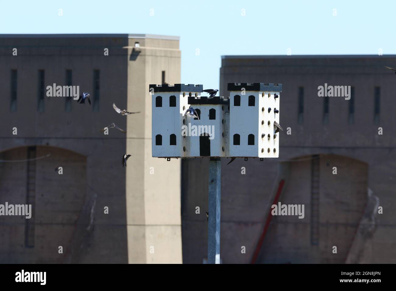 Birdhouse shaped to resemble the Corps Castle. Mississippi River Corps ...