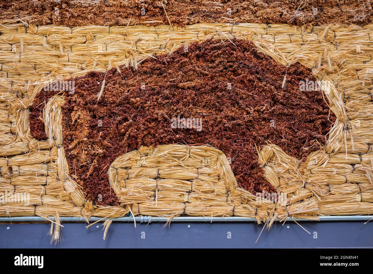 Bison mural made of grains at the Corn Palace in Mitchell, South Dakota ...