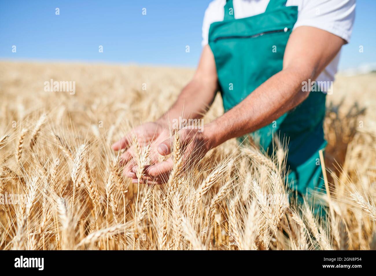 Hands with crops hi-res stock photography and images - Alamy