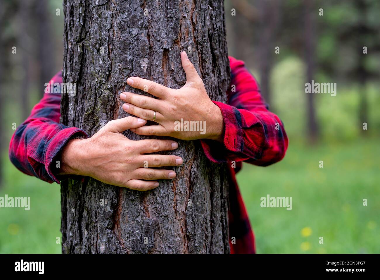 Man hugging tree hi-res stock photography and images - Alamy