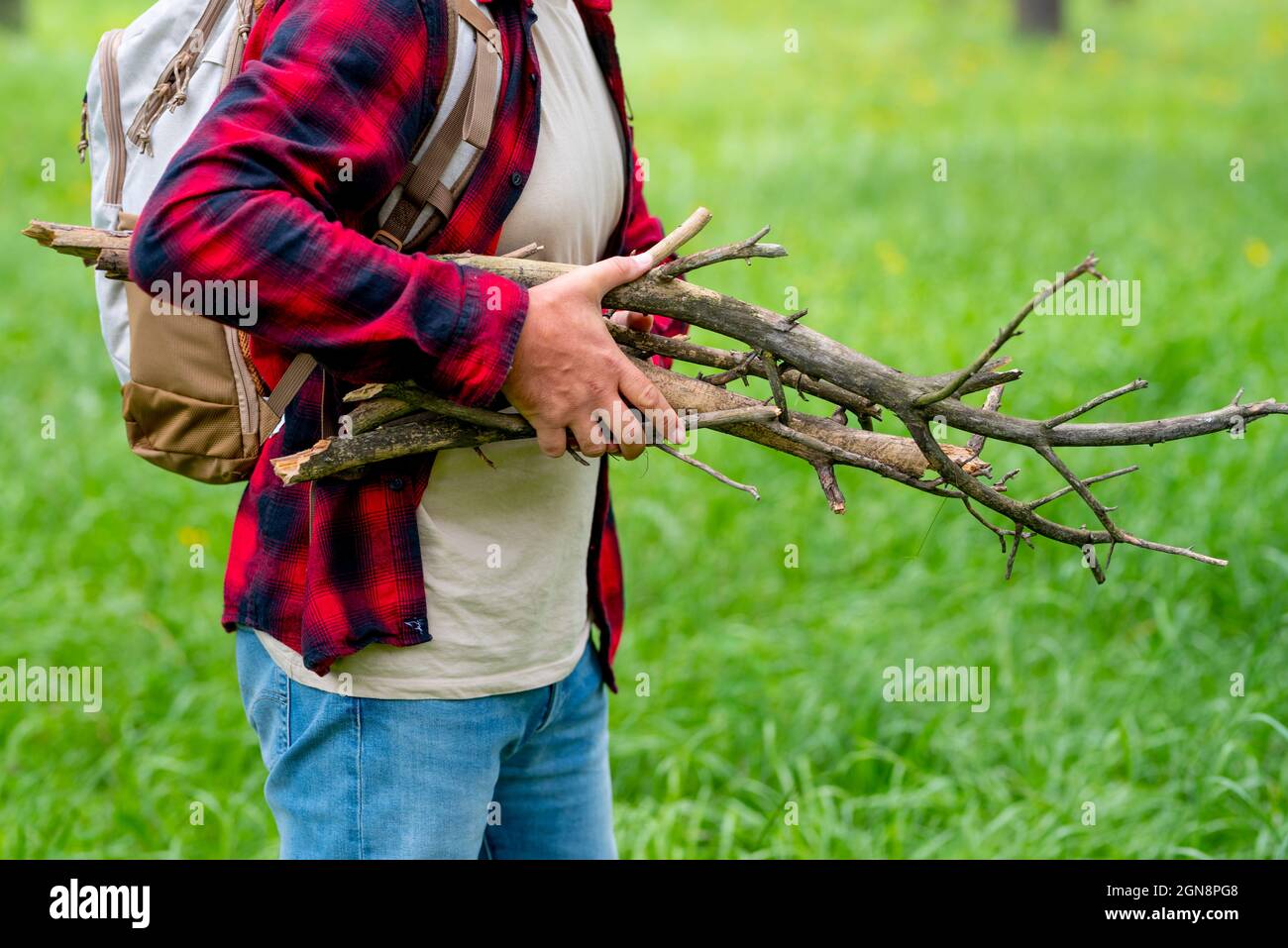 Mature man collecting wooden sticks in forest during weekend Stock ...