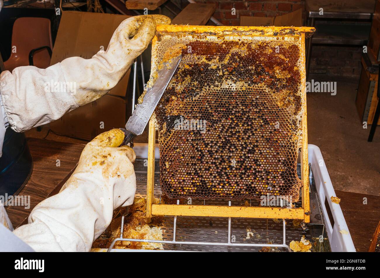 Beehive shape hi-res stock photography and images - Alamy