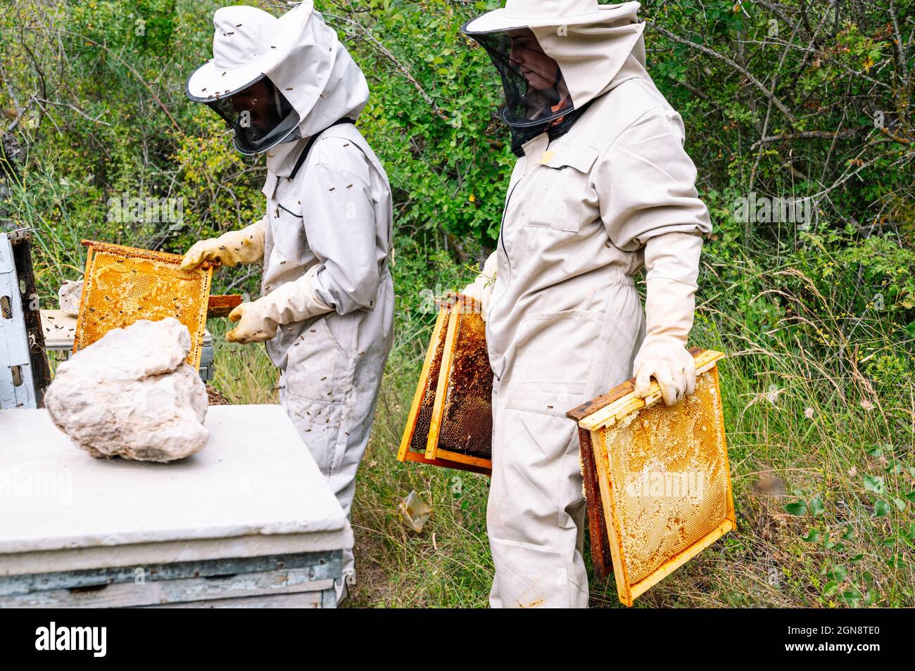 Female beekeeper putting beehive in storage tank at shed Stock Photo ...