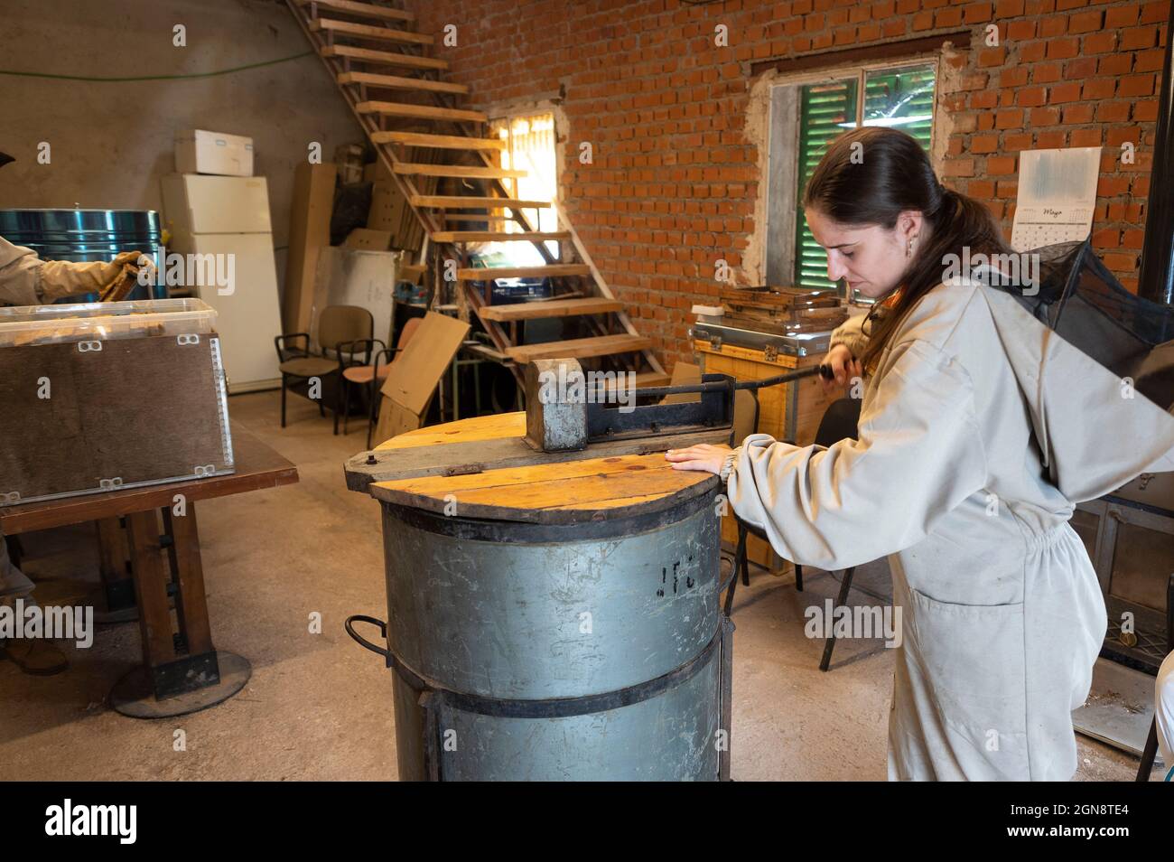 Beekeeper extracting honey from beehive in shed Stock Photo - Alamy